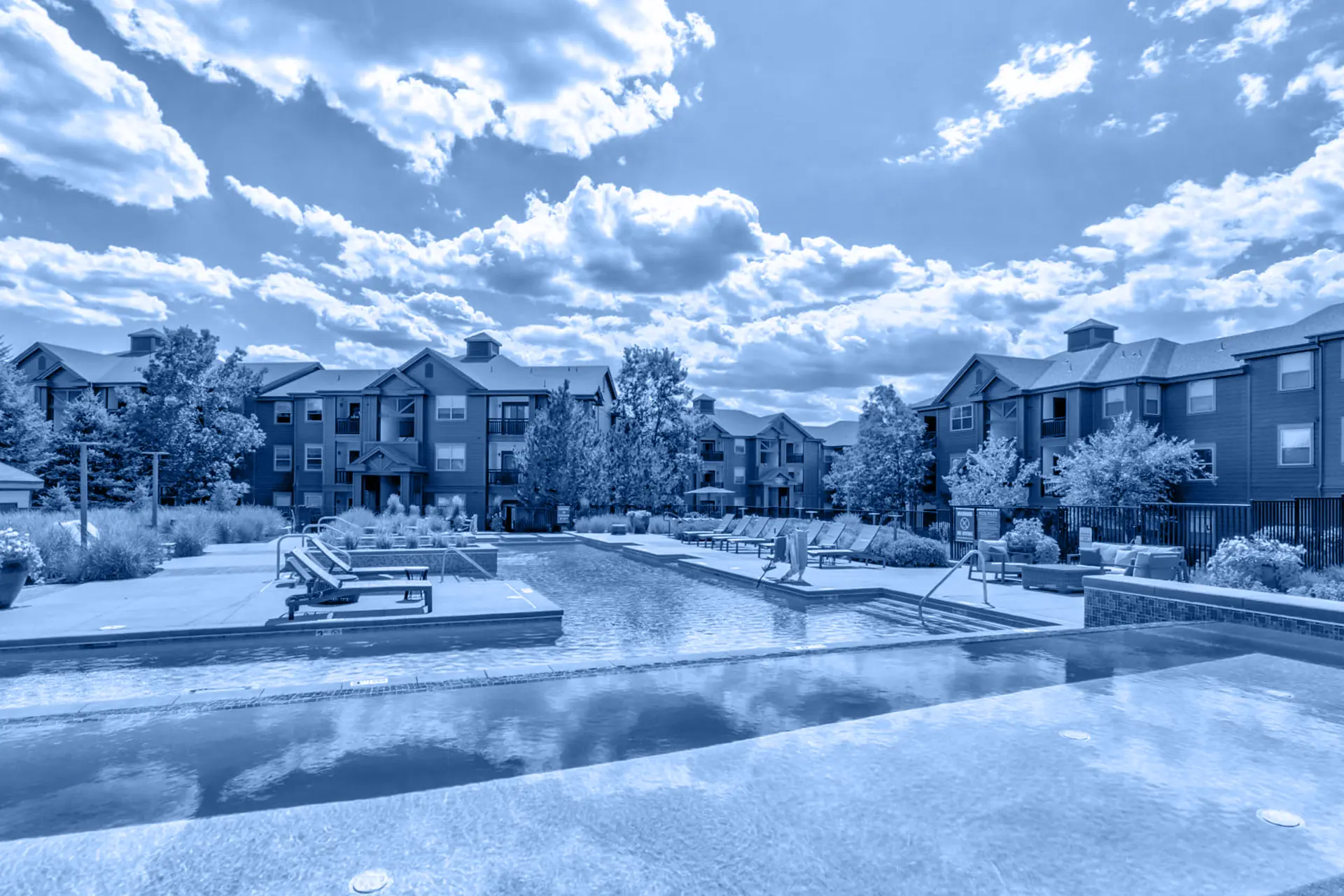 What We Do | The Bella Group