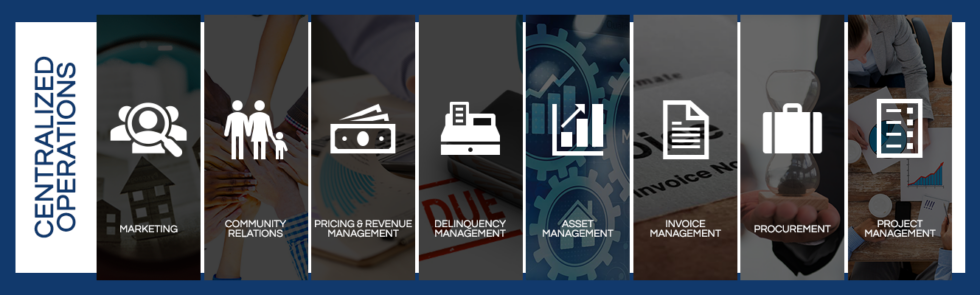 What We Do | The Bella Group